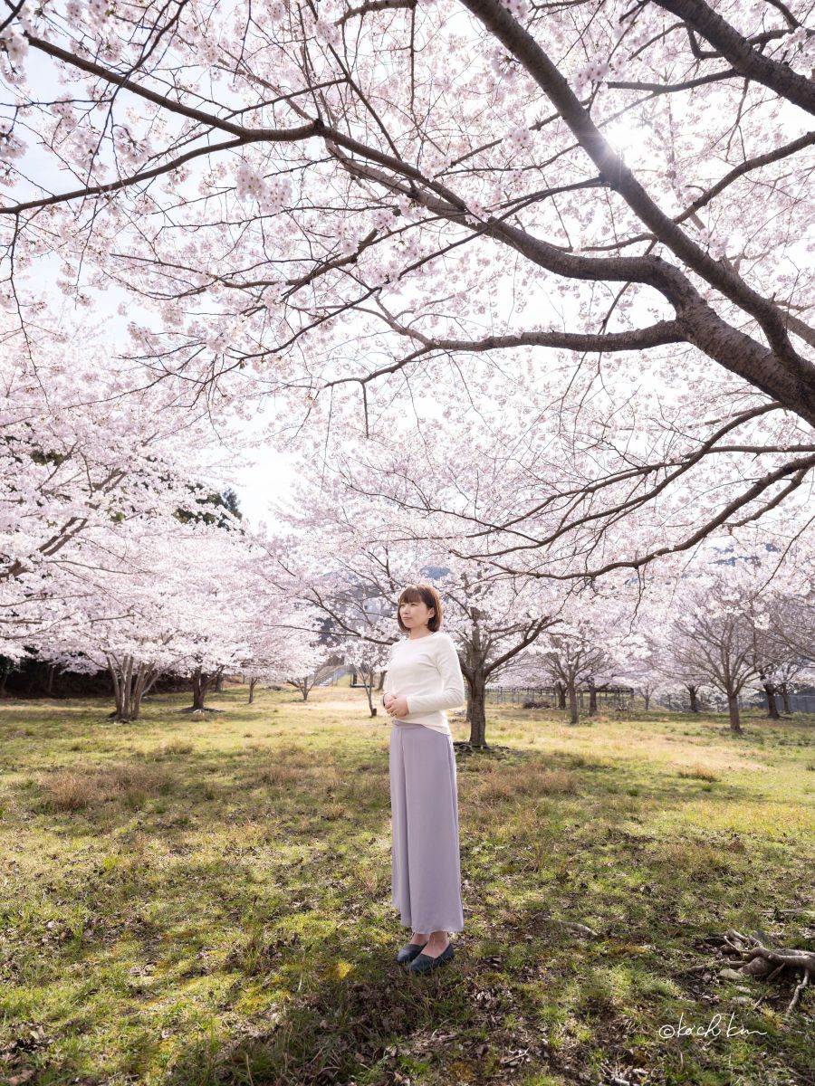 Spring photography | GANREF