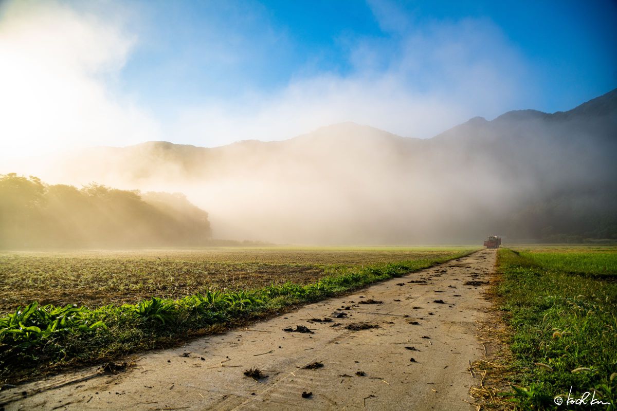 Misty fields | GANREF