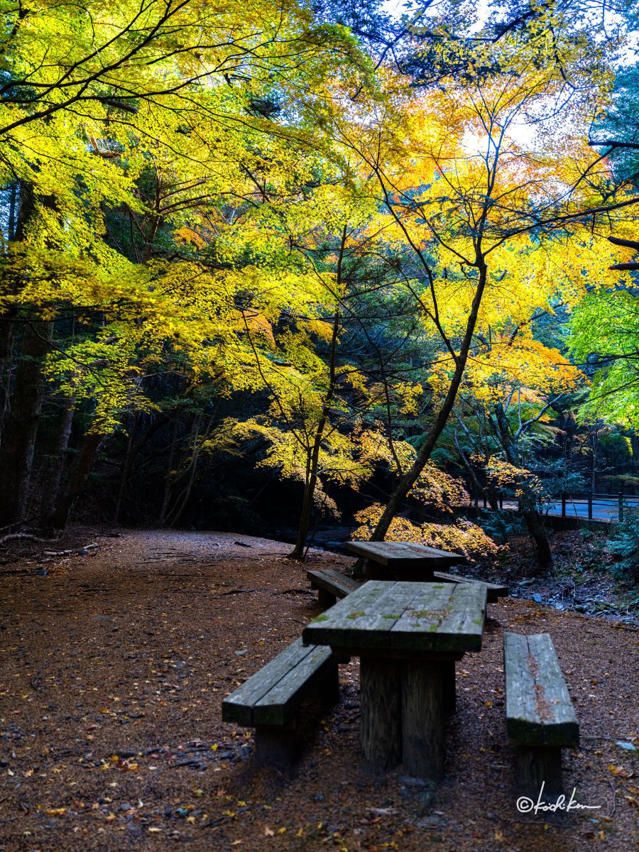 Autumn colors | GANREF