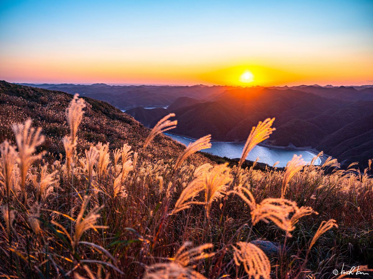 Swaying light | GANREF