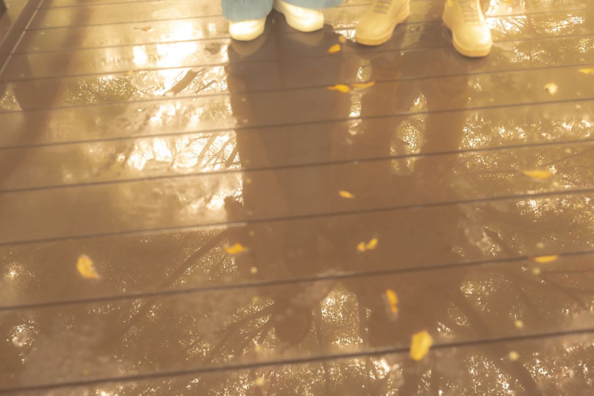 幻想的scene | GANREF