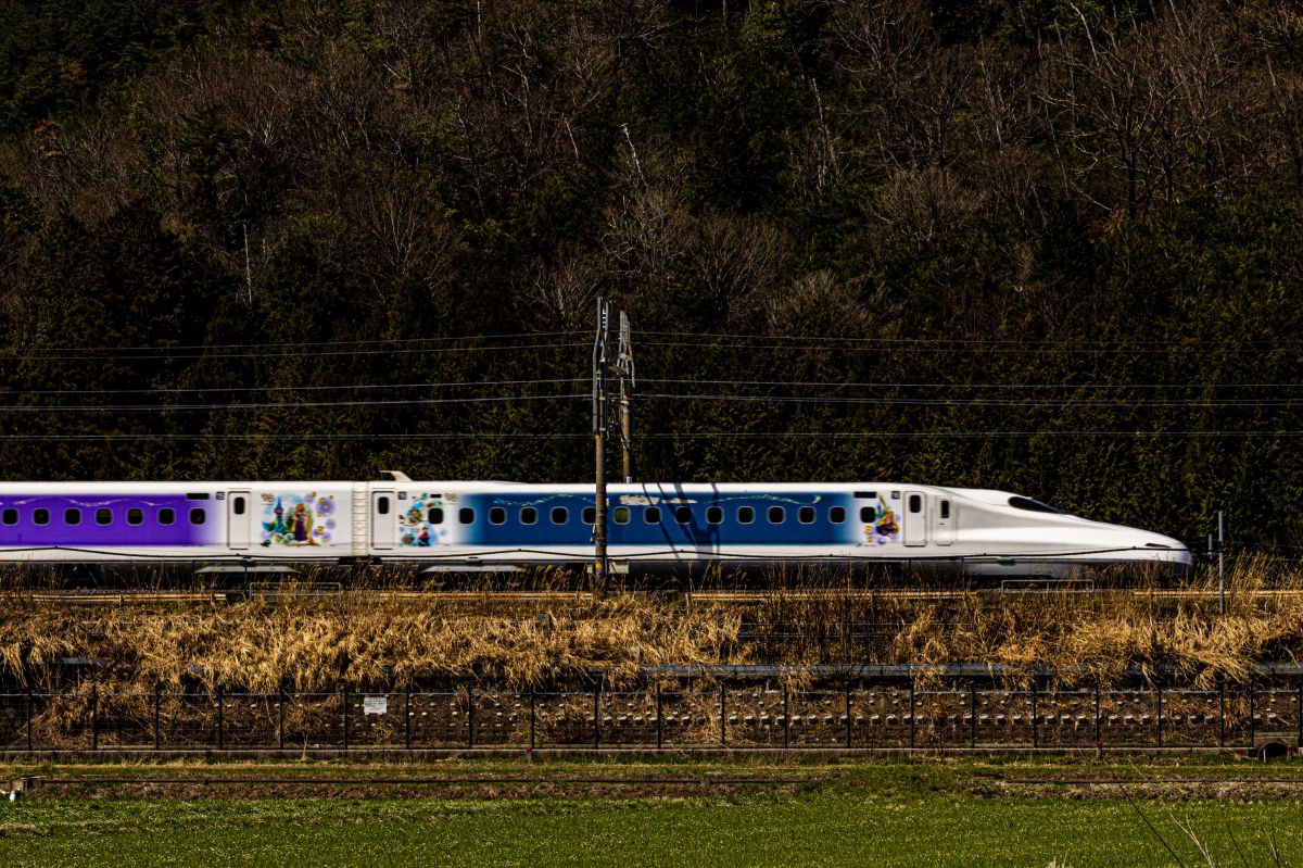 Wonderful Dreams Shikansen I | GANREF