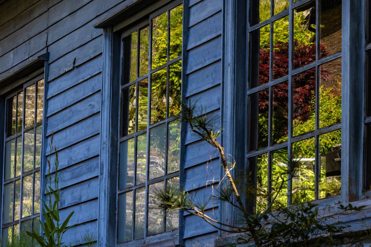 GW の装い | GANREF