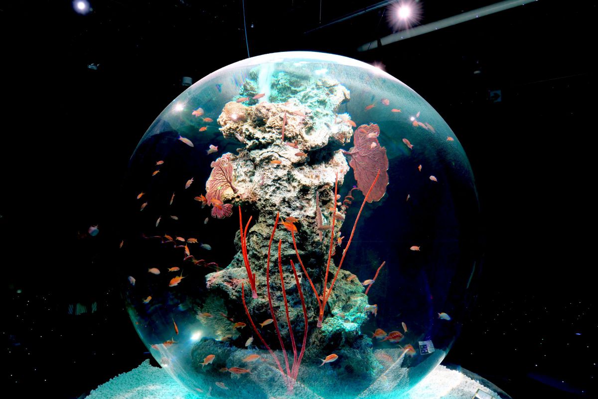 atoaに行ってきました | GANREF