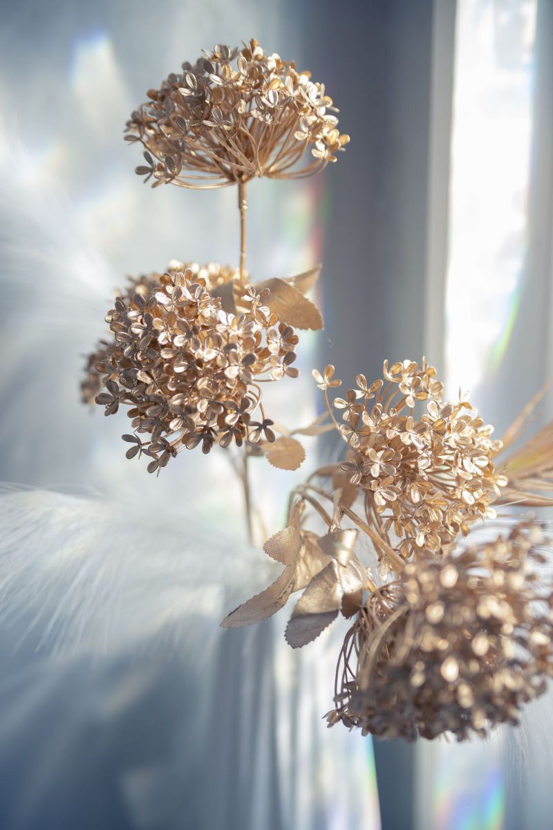 prism flower | GANREF