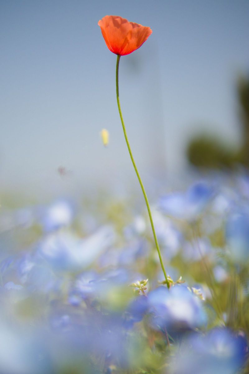 IMG_1906-1.jpg | GANREF