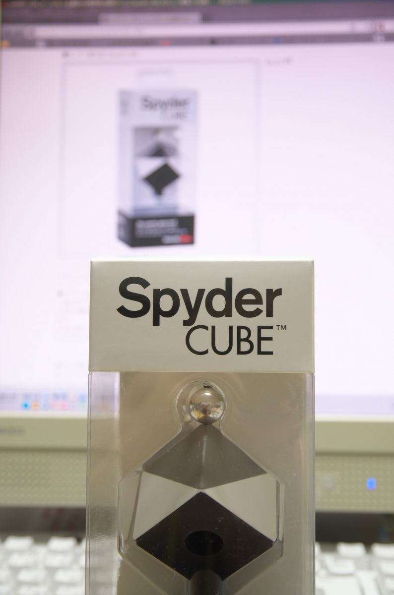 SpyderCUBE モニター レポート （1） | GANREF