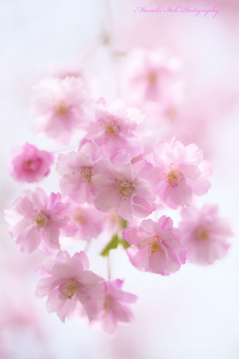 Close to you | GANREF