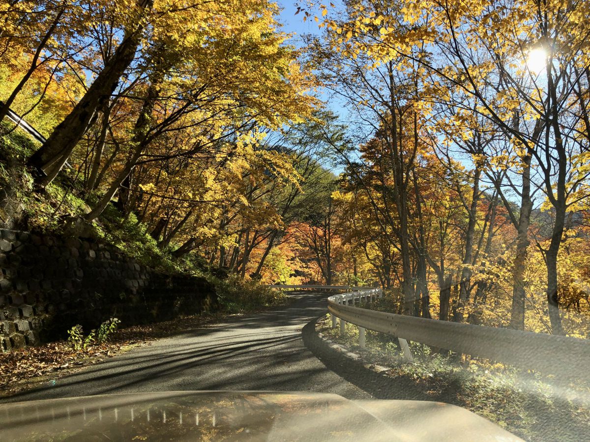 Winding road | GANREF