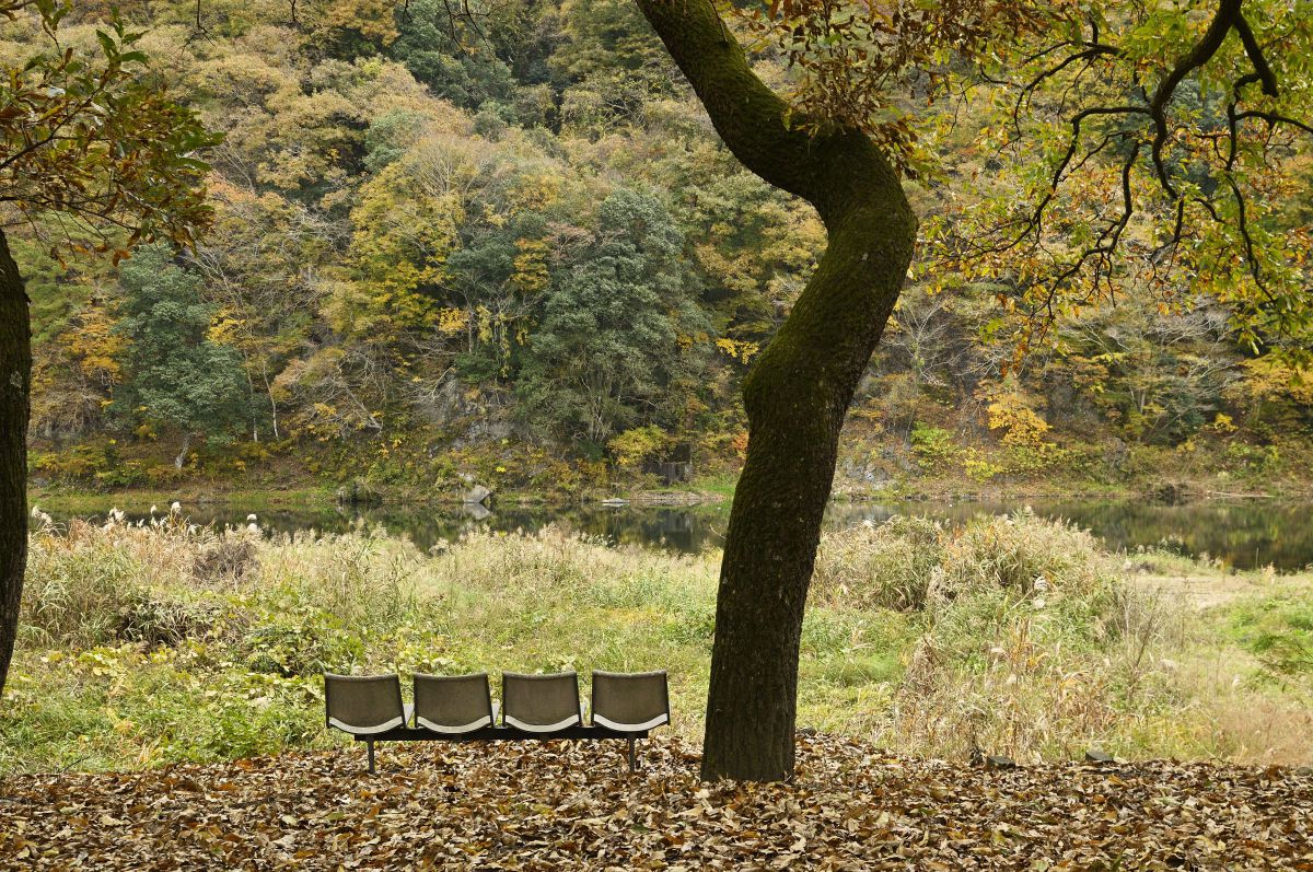 無意味なベンチ | GANREF