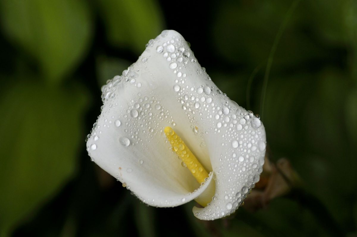 晴れ間が欲しい | GANREF