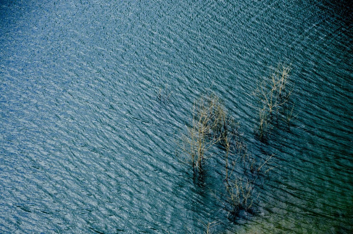 blue ripples | GANREF