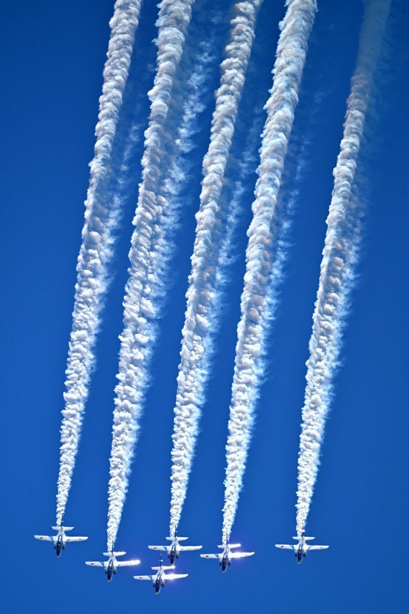 PHOENIX ROLL | GANREF