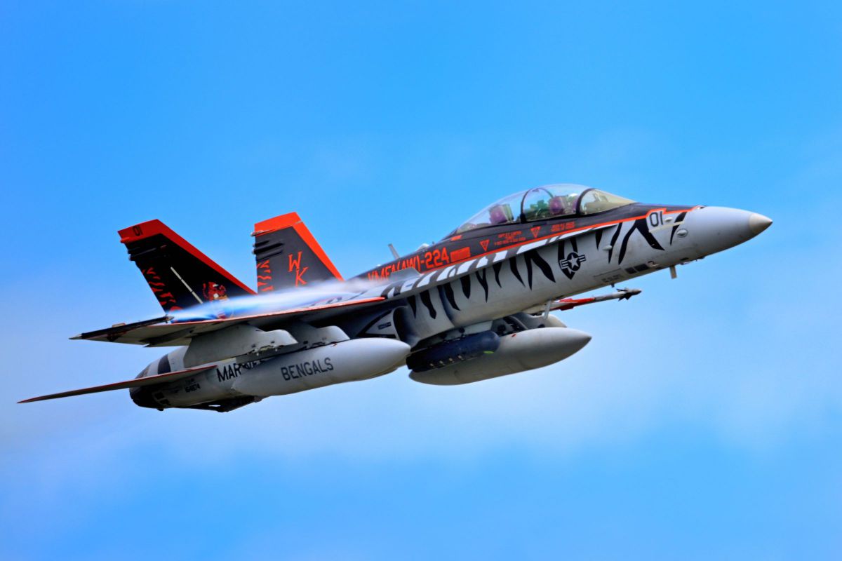 Fighting Bengals | GANREF