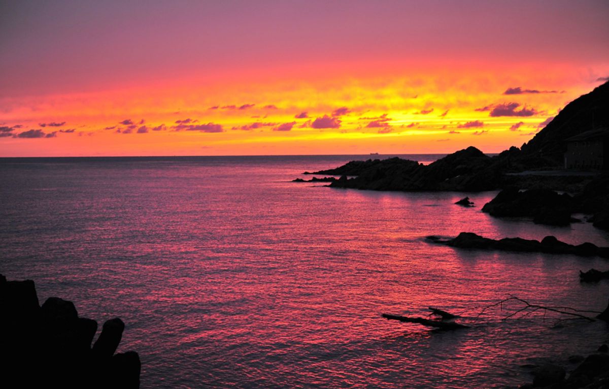 Midnight Dancer | GANREF