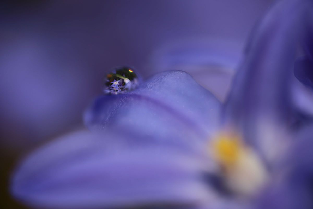 water drop 2 | GANREF