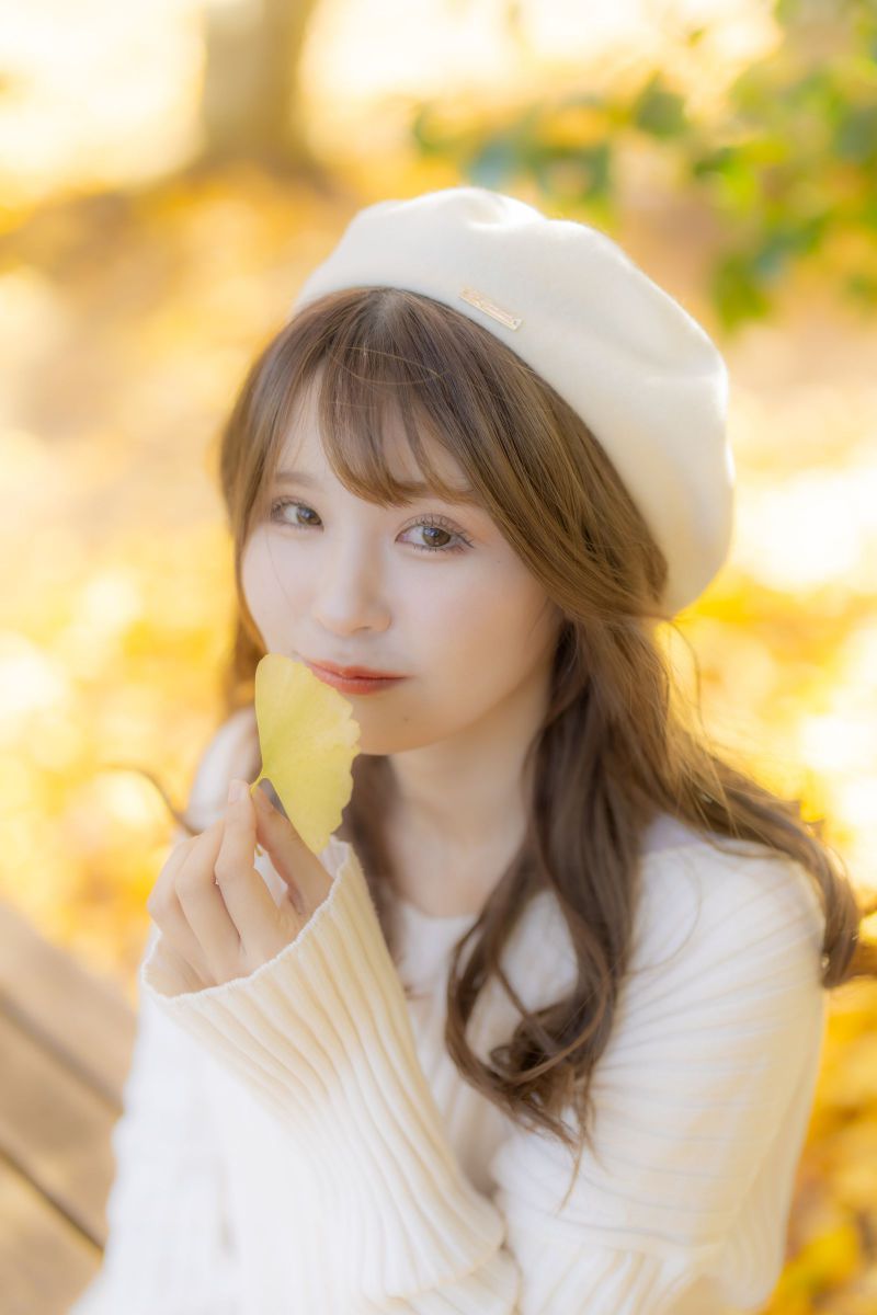 黄金の絨毯 | GANREF