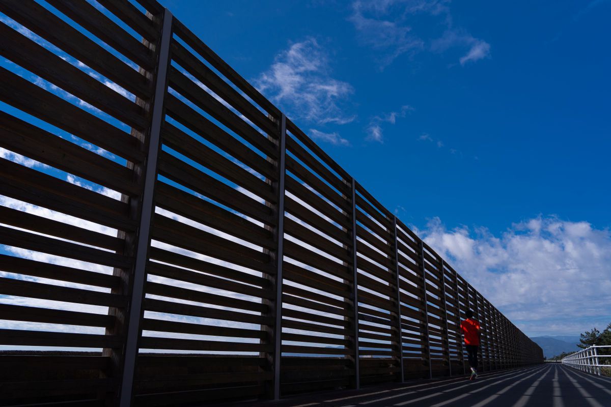 Holiday runner | GANREF