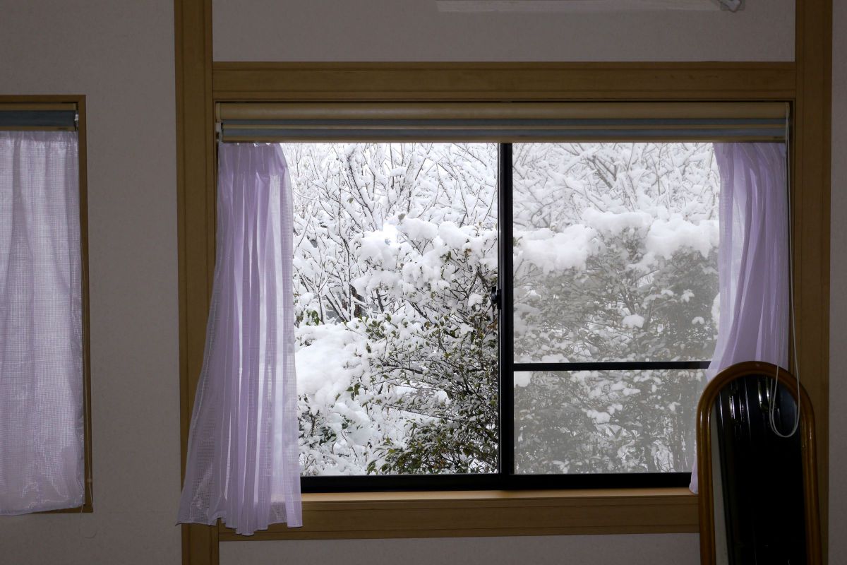 north light | GANREF