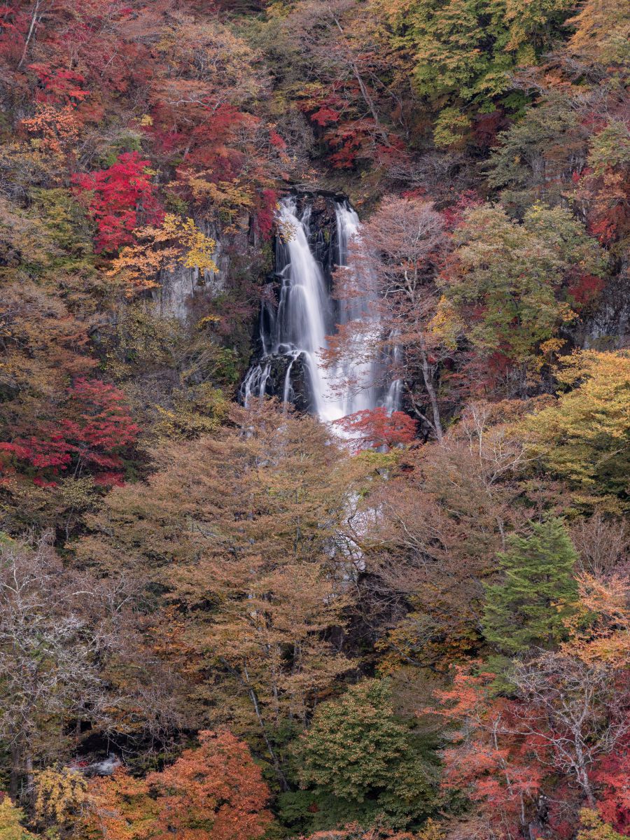晩秋に埋もれる滝 | GANREF