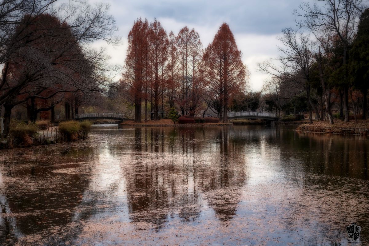 Autumn foliage | GANREF