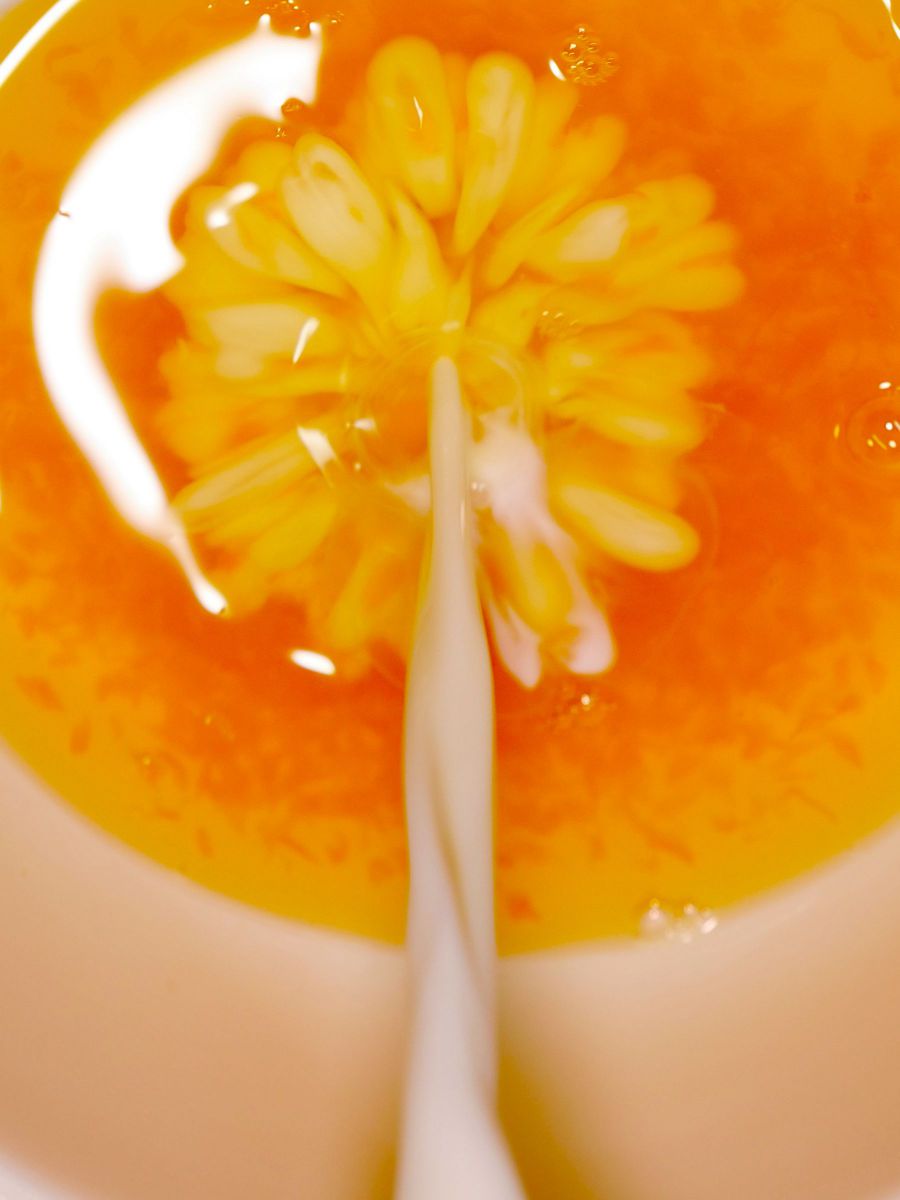 sweet flower | GANREF