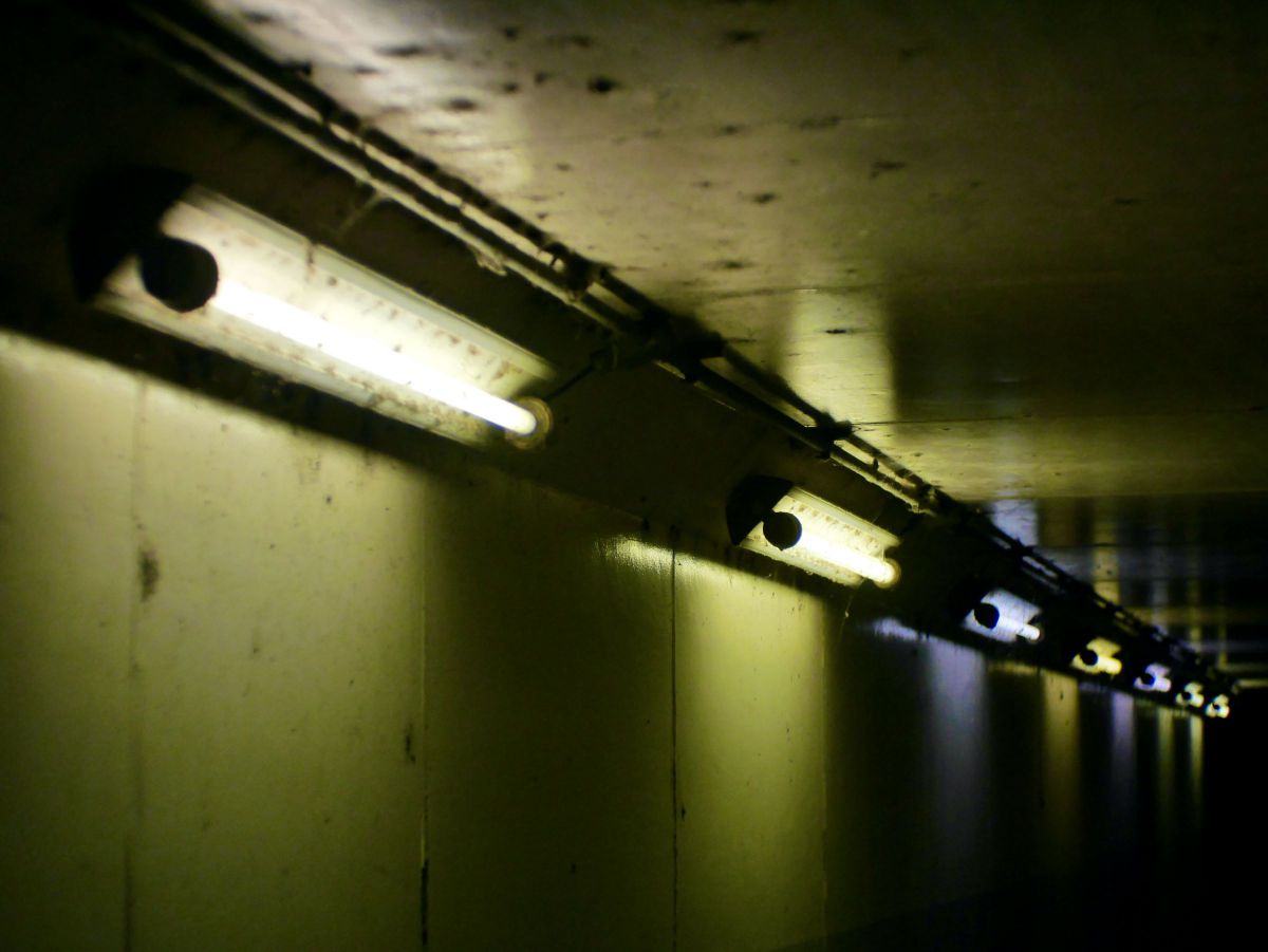 seven lights | GANREF