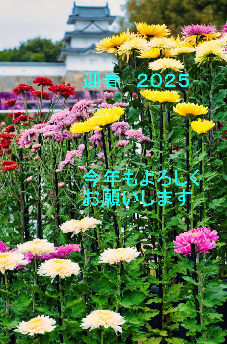 迎春－2025 | GANREF