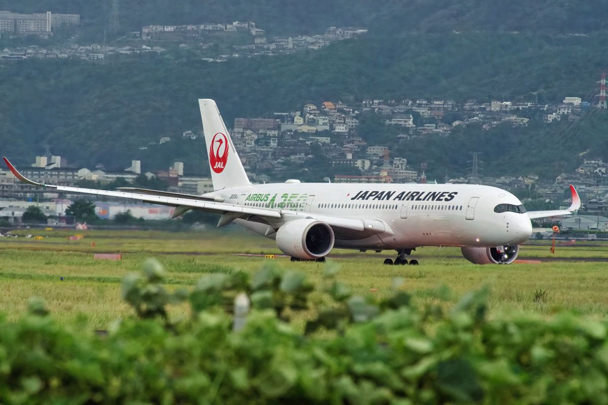 ～緑のたぬき～ エアバスA350 | GANREF