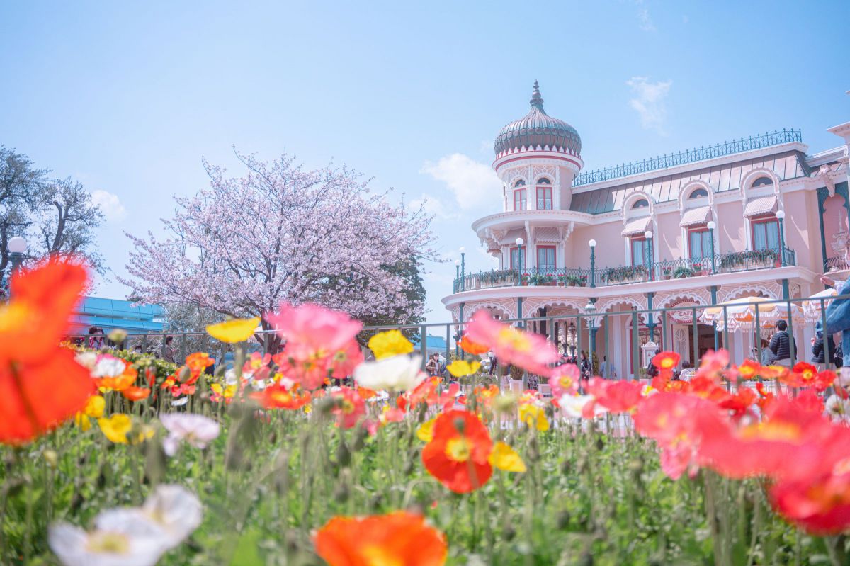 春景色のTDL | GANREF