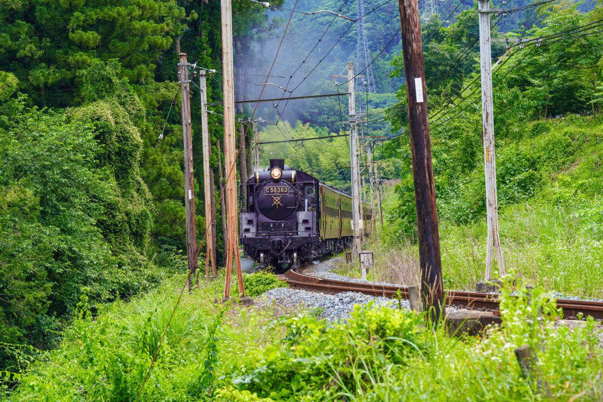 秩父鉄道SL C58 | GANREF