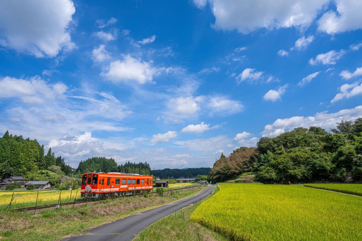 明知鉄道 | GANREF