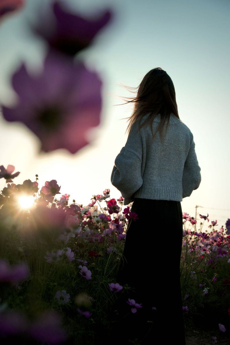 過ぎゆく中で | GANREF