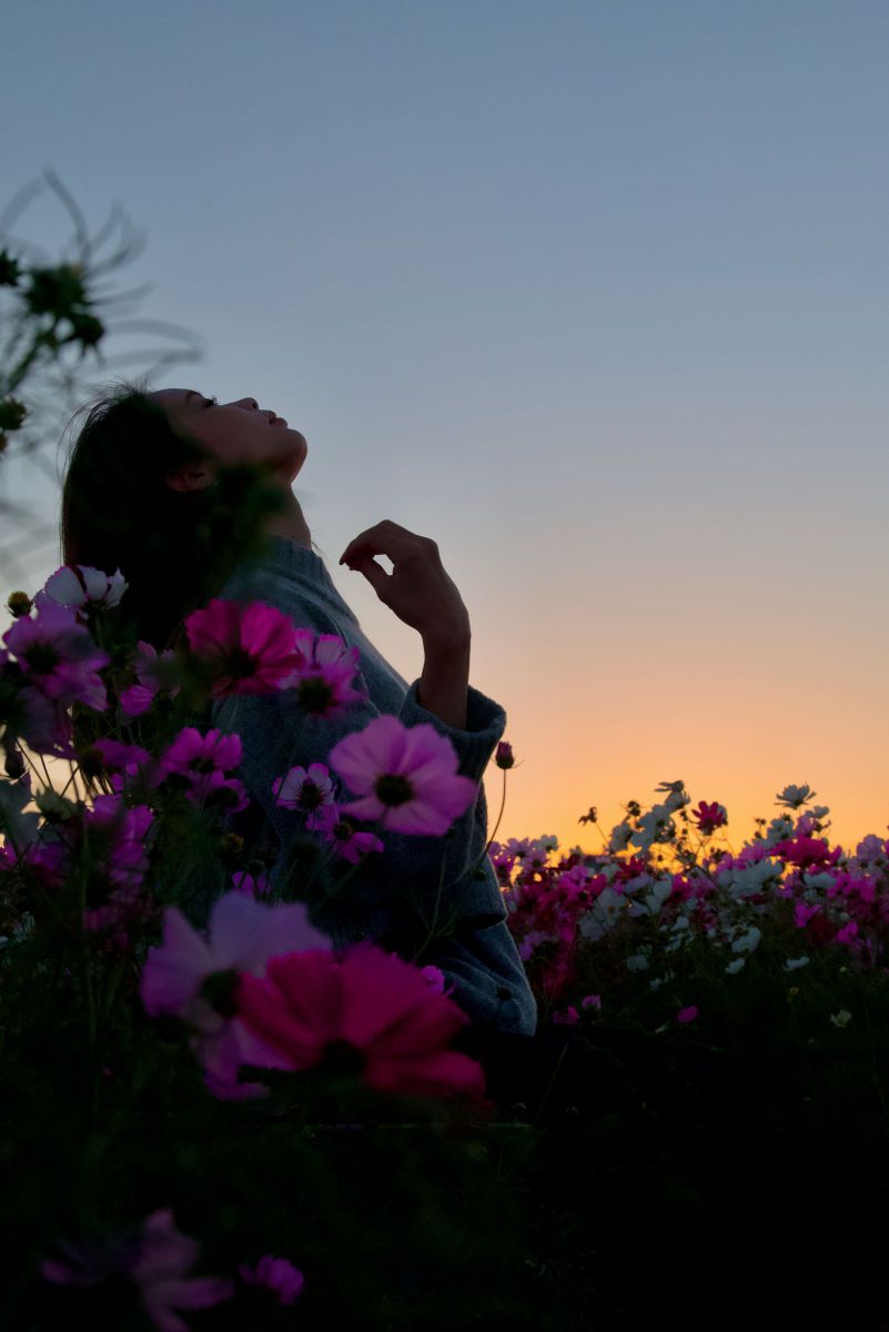 夕暮れを見上げて | GANREF