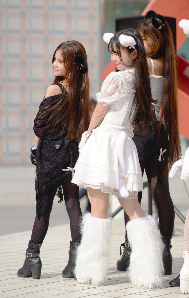 black & white cats | GANREF