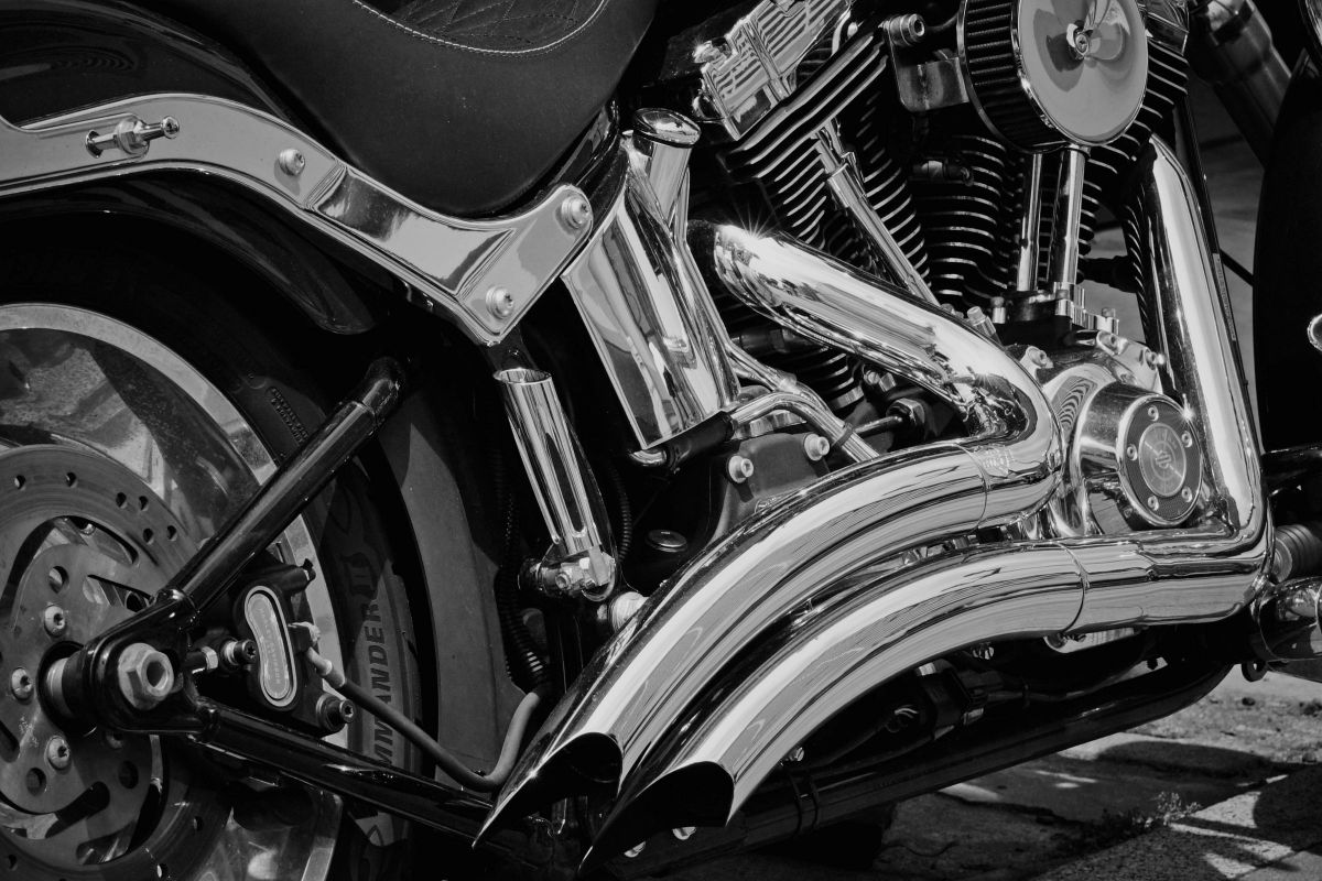 metallic beauty | GANREF