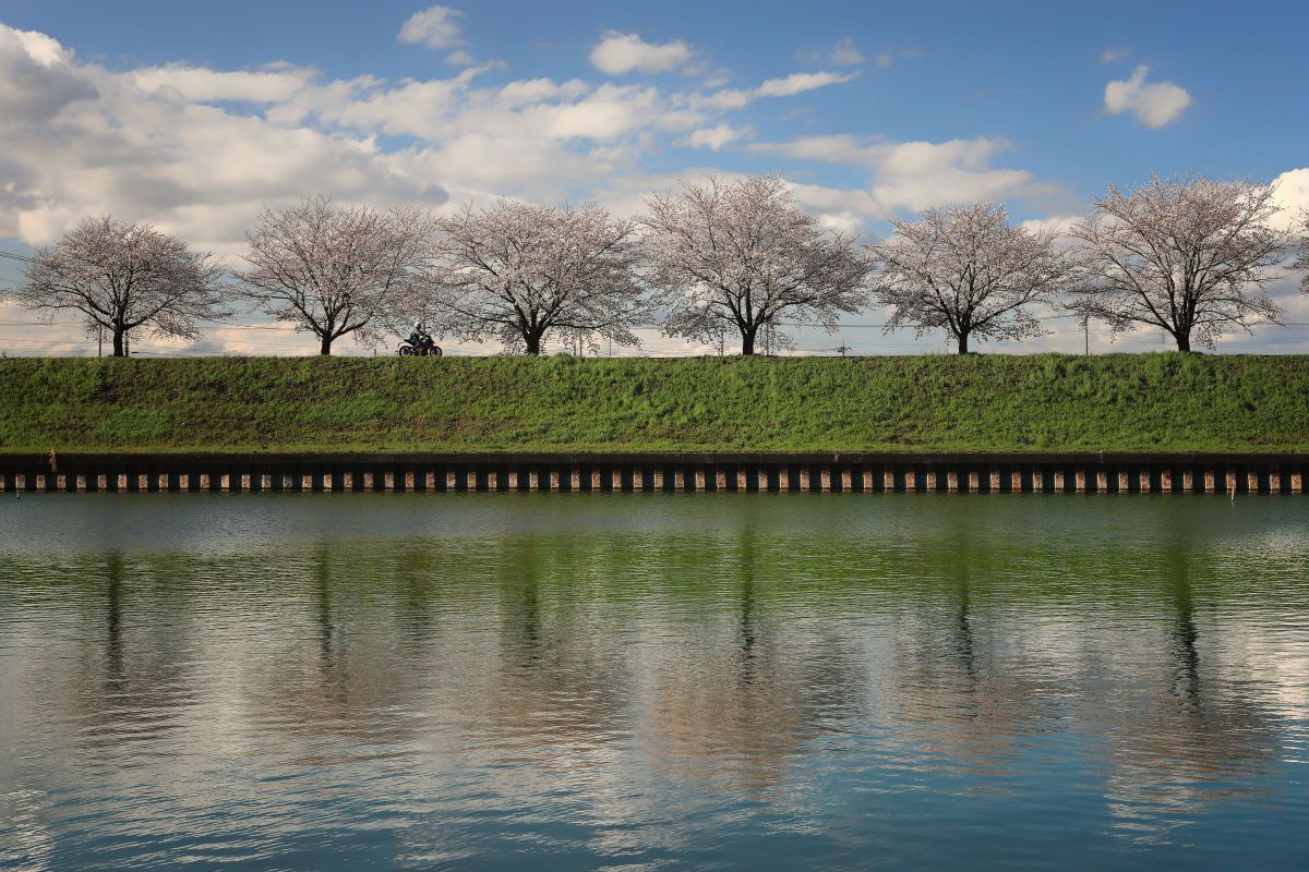 春のこみち | GANREF