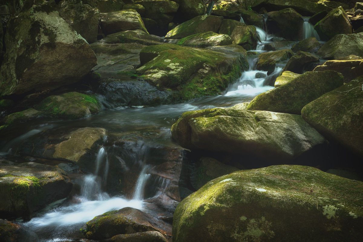 緑陰、薫る | GANREF