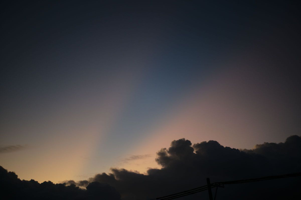 Blue X Peach | GANREF