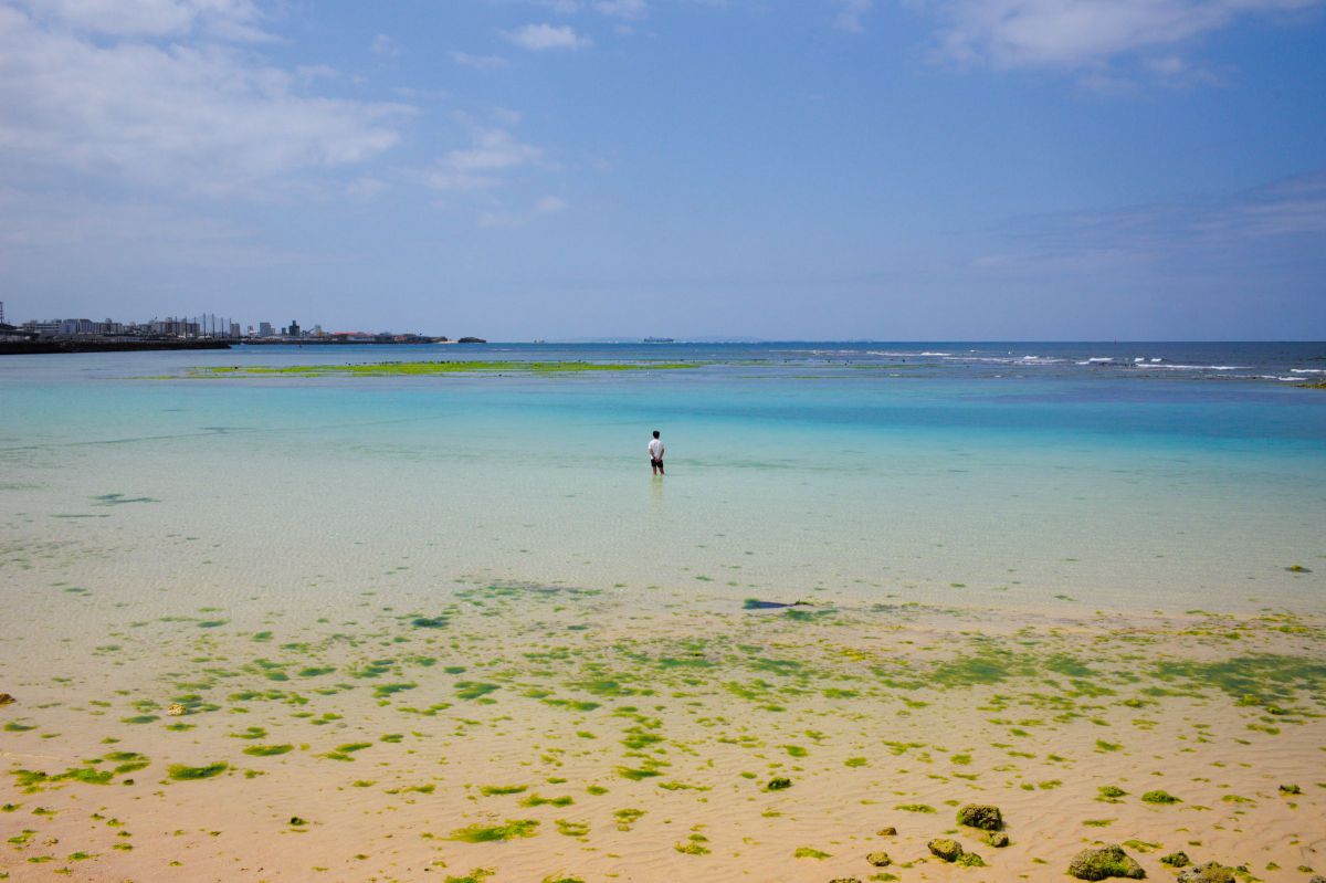 You're Only Lonely | GANREF