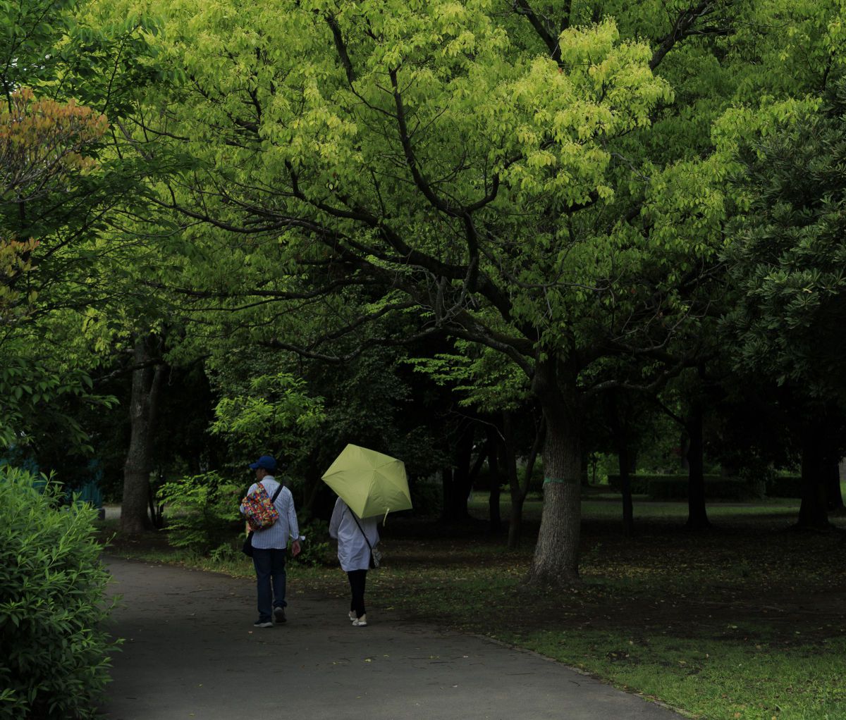 木陰を歩く.jpg | GANREF