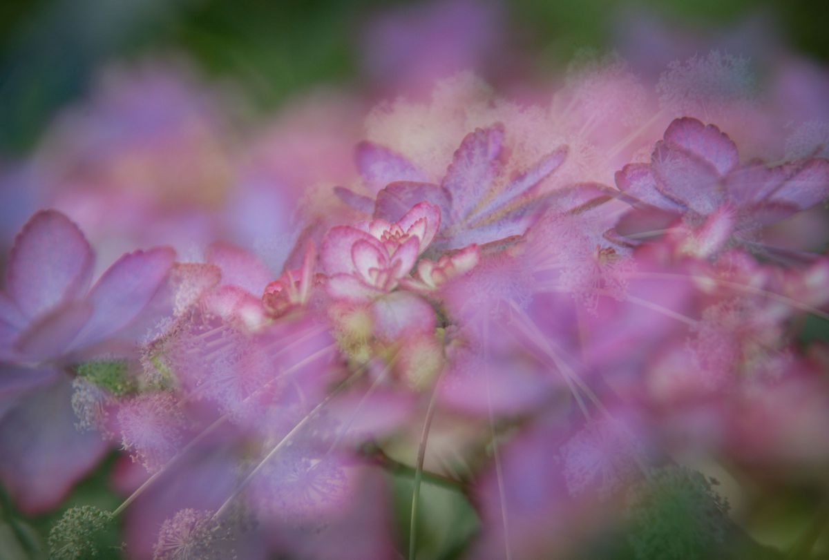 優しいね | GANREF