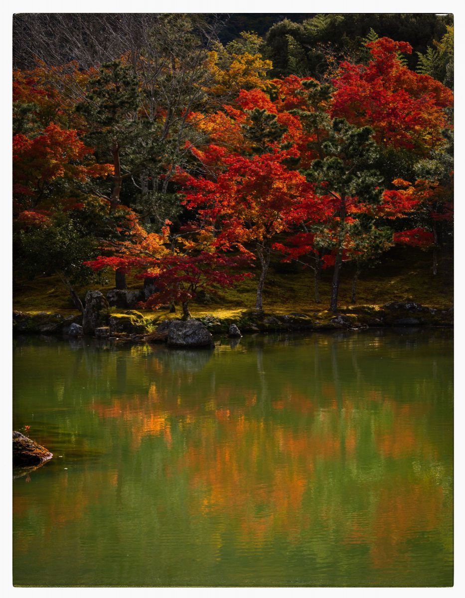 autumn in Kyoto 天龍寺にて | GANREF