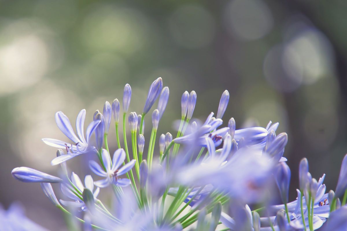 あなたを想う気持ち.jpeg | GANREF