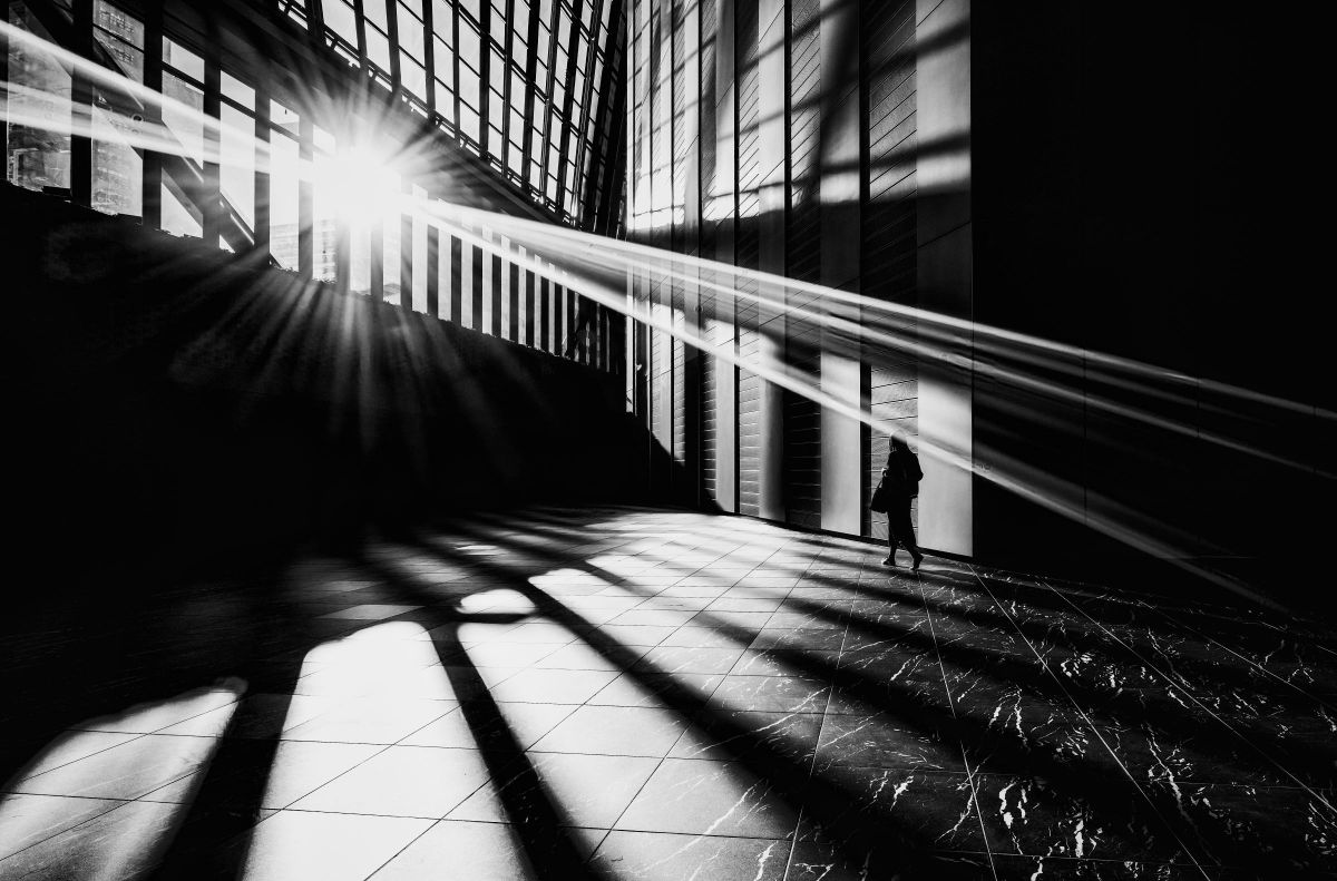 In the Wake of Light | GANREF