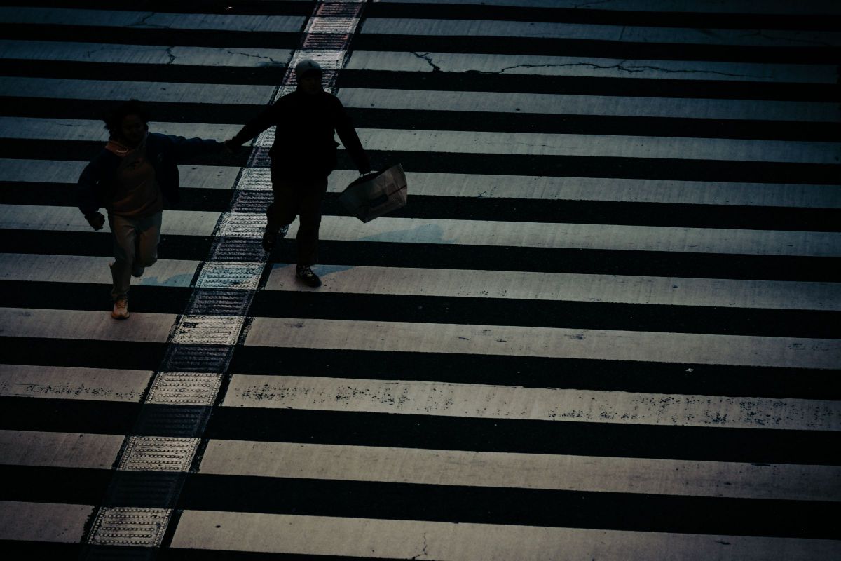 Dance in Zebra | GANREF