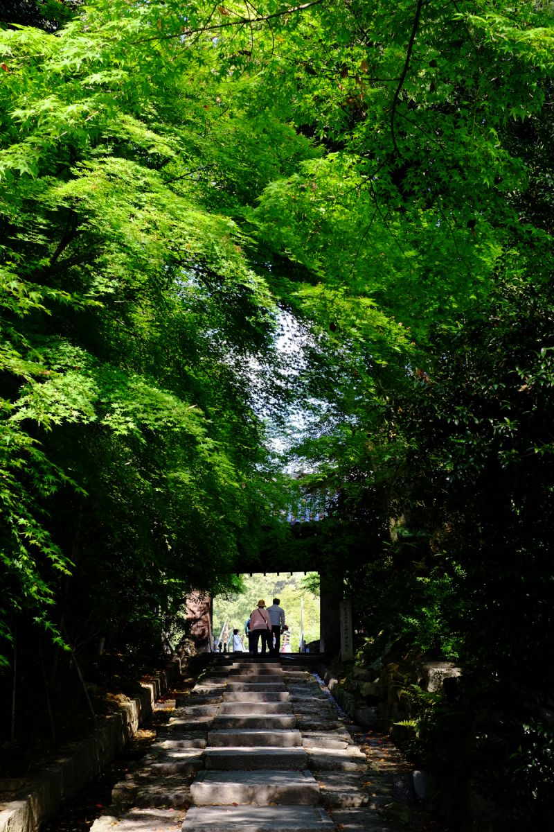 第10回 京都snap | GANREF