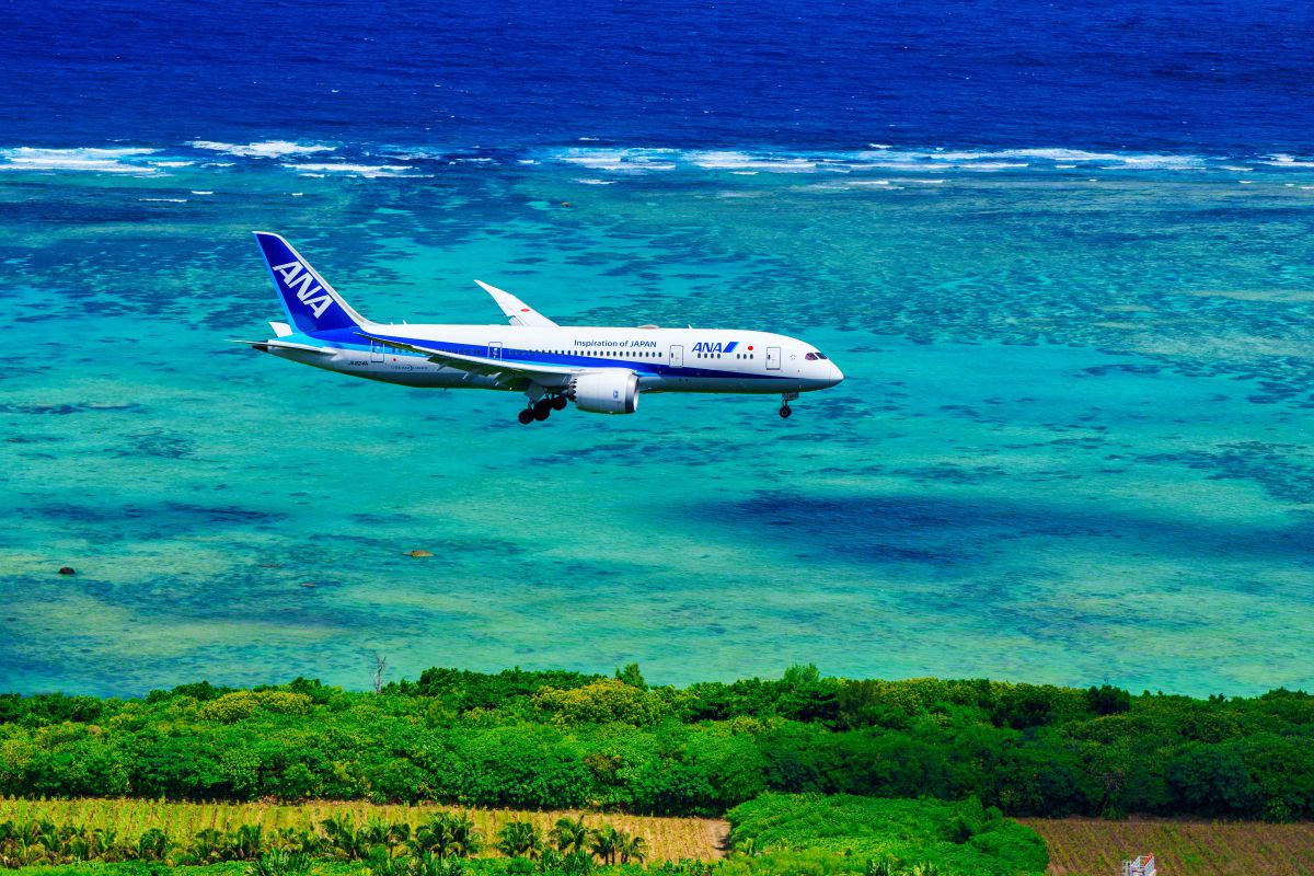 787ファイナル・アプローチ | GANREF