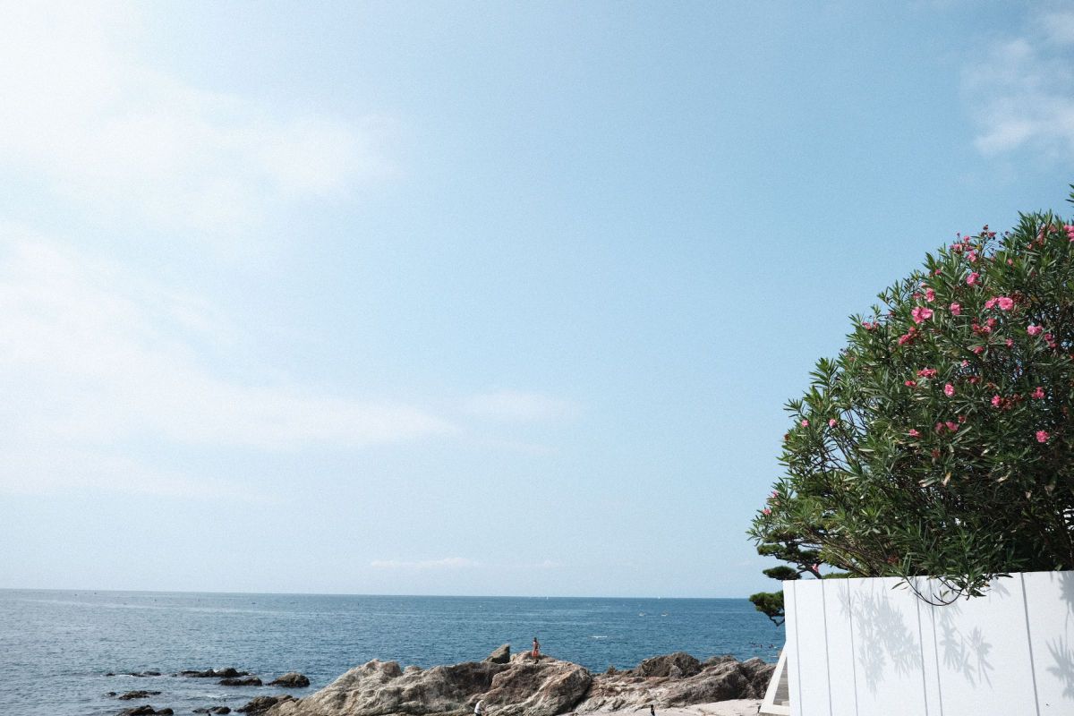 SEASIDE HOUSE | GANREF