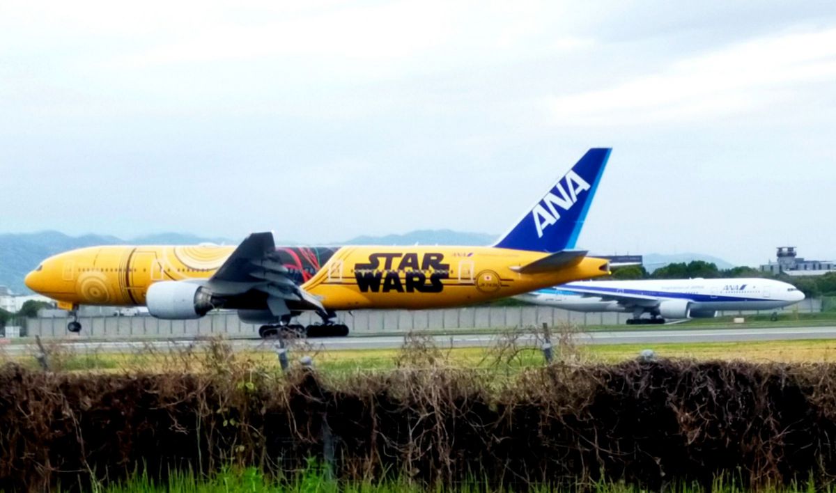 777祭り？ | GANREF